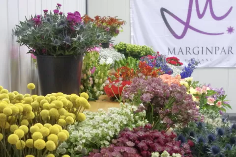 An exclusive Masterclass | Marginpar